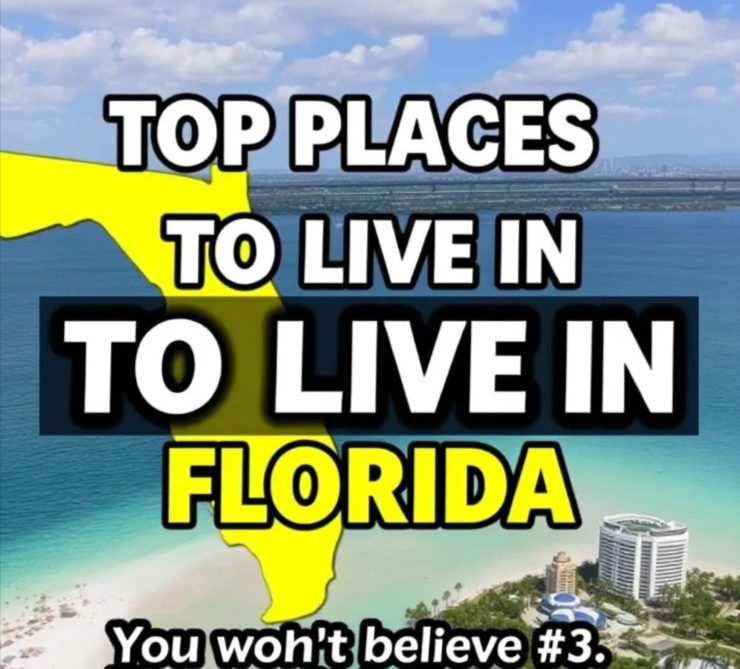 Florida Living - Real Estate Juice